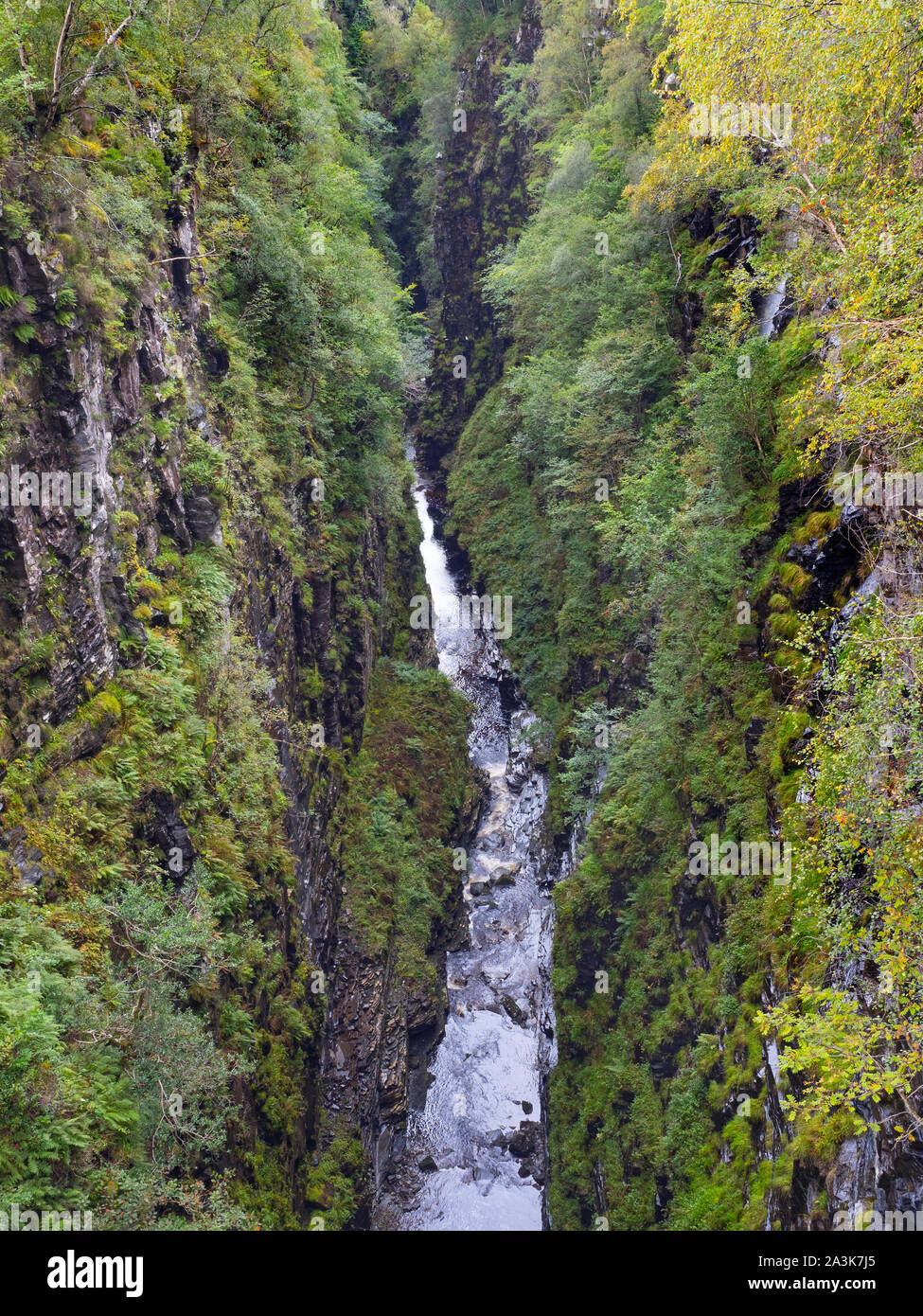Corrieshalloch Gorge near Ullapool, late summer Stock Photo - Alamy
