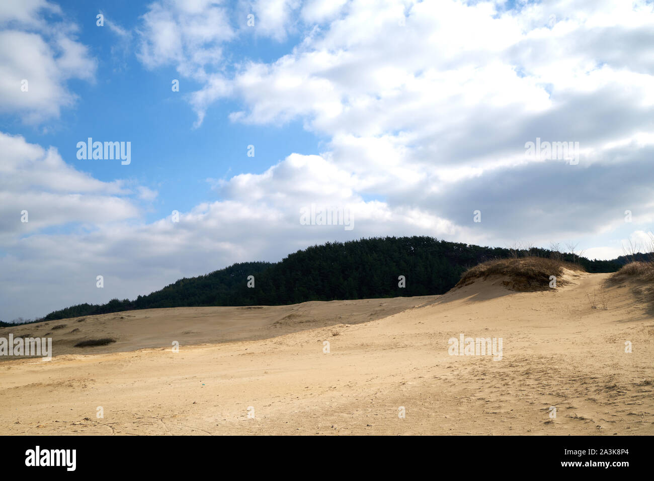 Sindu hi-res stock photography and images - Alamy