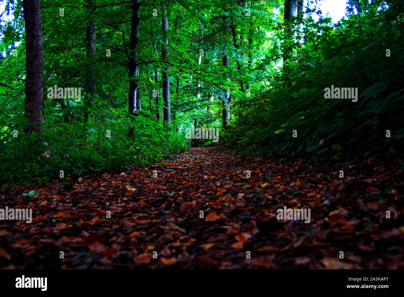 Path expression hi-res stock photography and images - Alamy