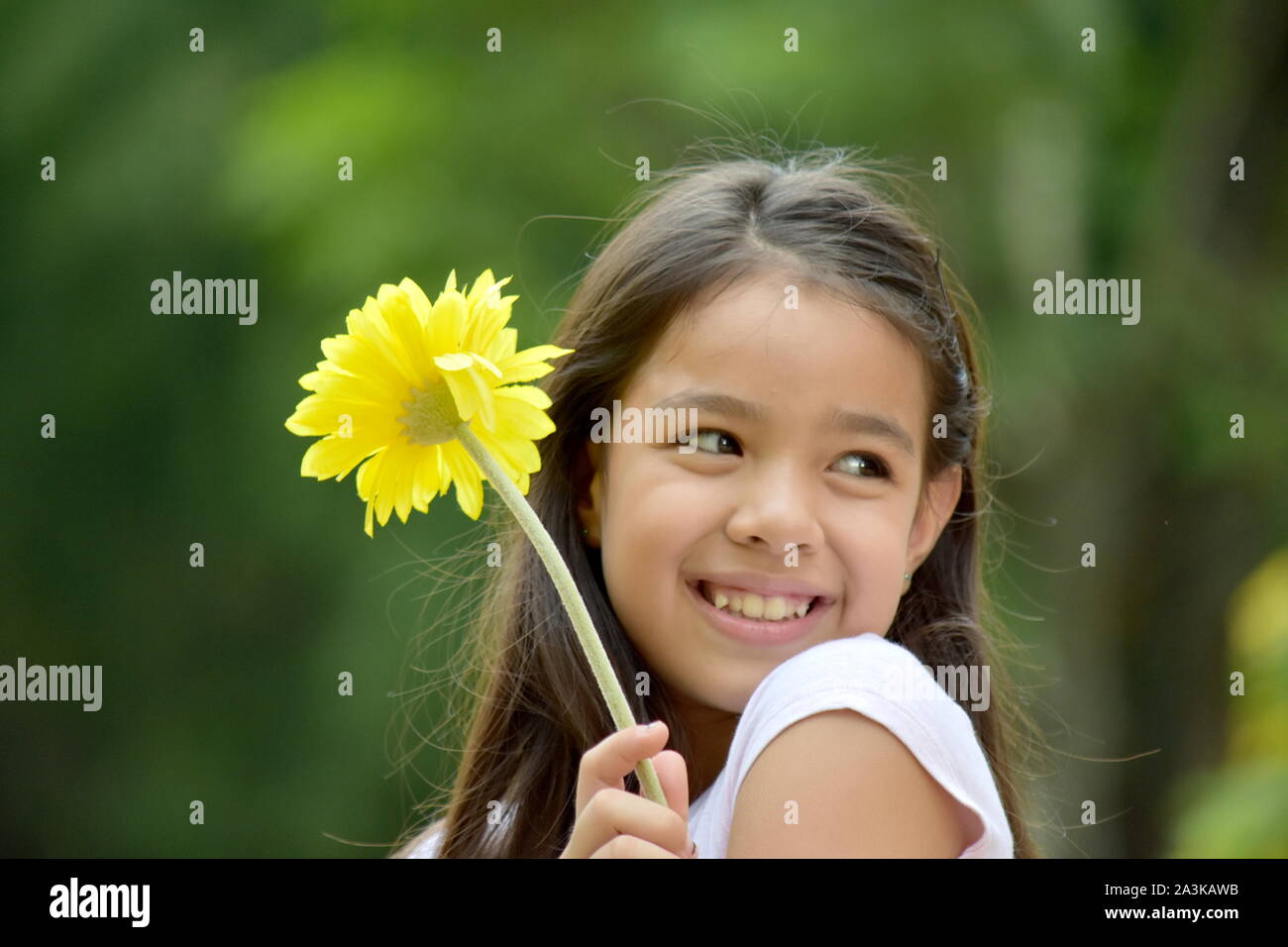Happy Beautiful Girl Child With A Daisy Stock Photo - Alamy