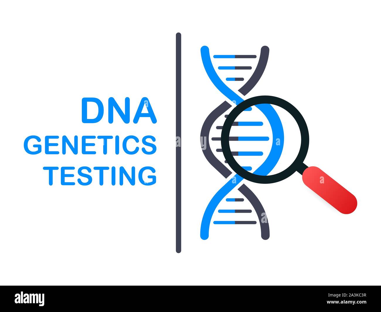 DNA testing, genetic diagnosis concept. Genetic engineering concept ...