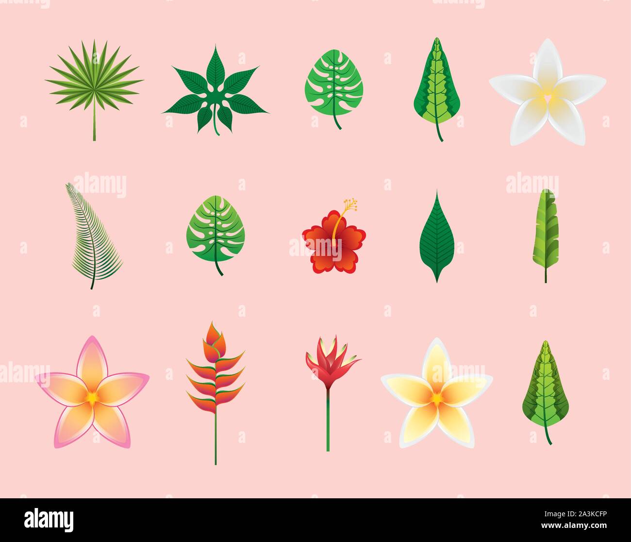Flowers and leaves icon set vector design Stock Vector Image & Art - Alamy