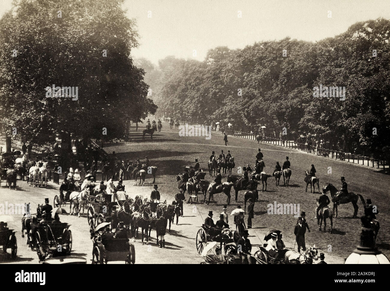 Horses and riders on Rotten Row, London Stock Photo - Alamy