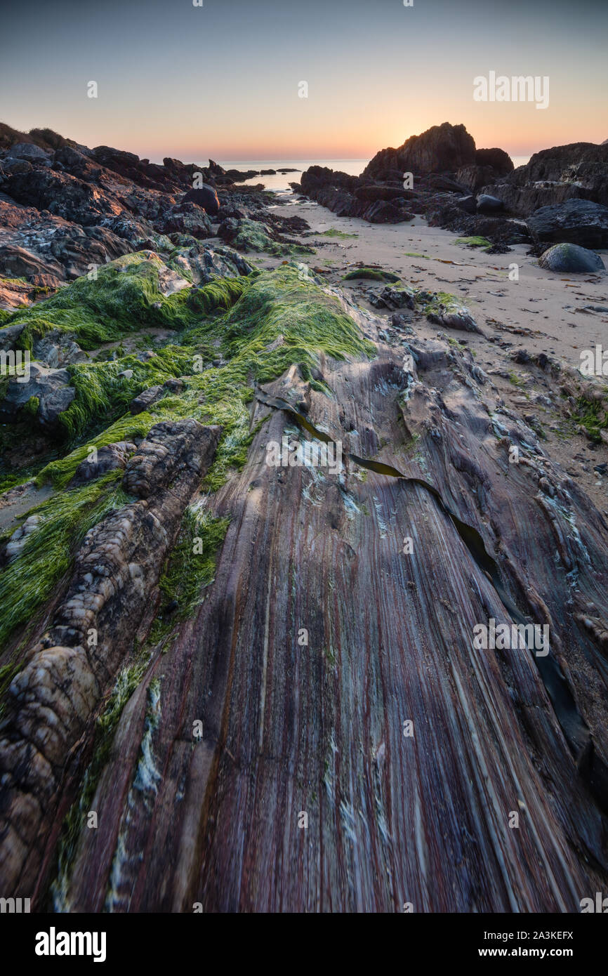 Water Seaweed Rocks High Resolution Stock Photography and Images - Alamy