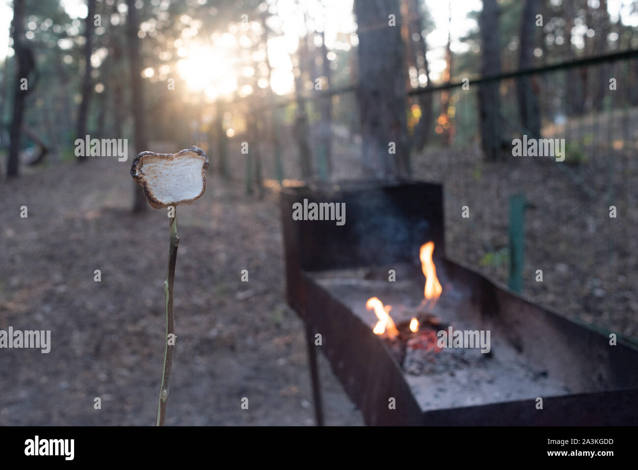 Marsh mellow hi-res stock photography and images - Alamy
