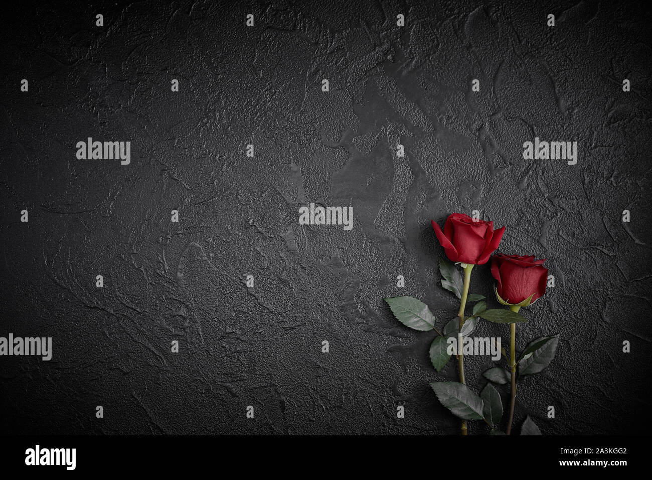 Red roses are placed on a black textured background. A sign of ...