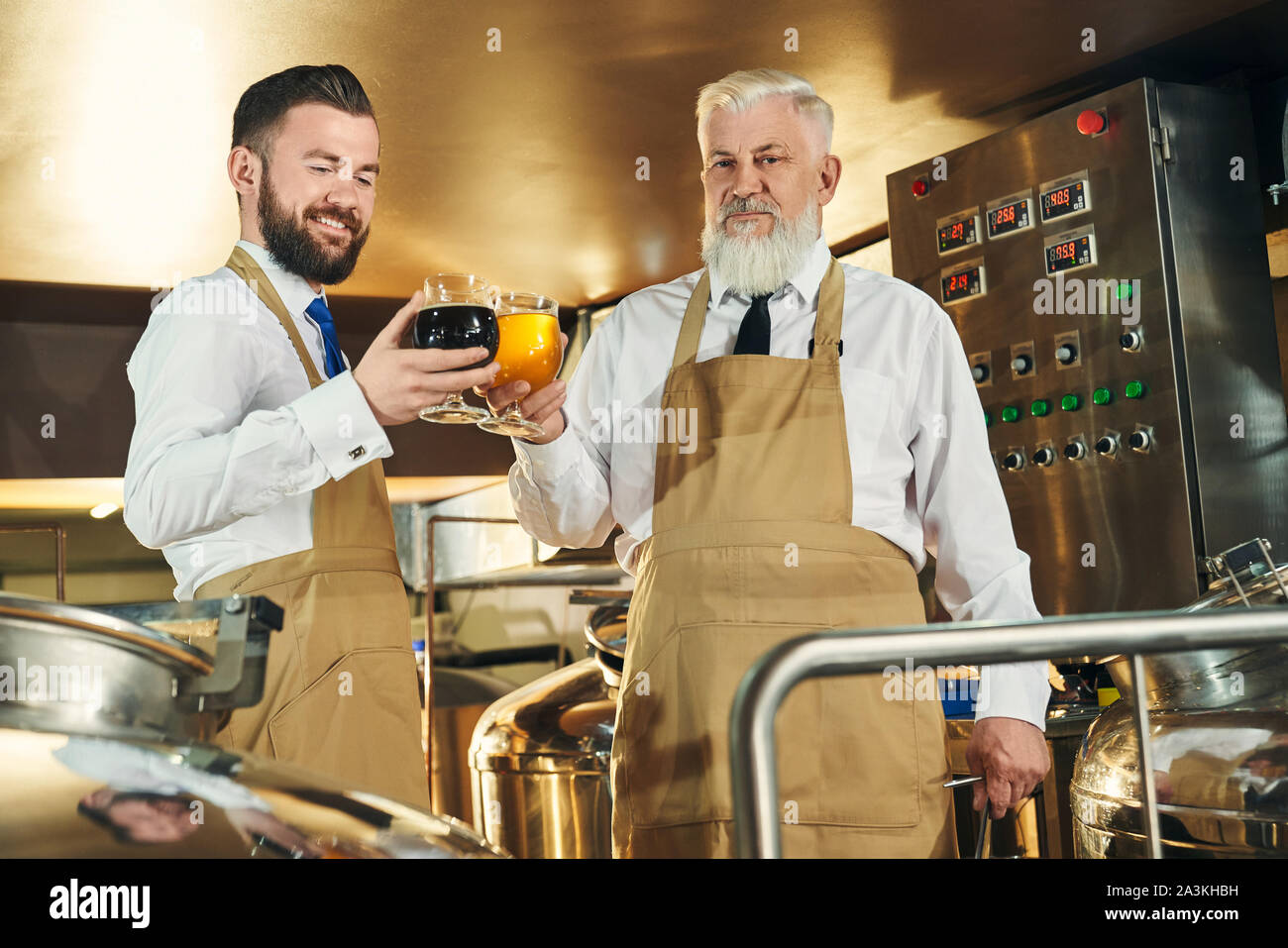 Two brewers standing in mini brewery near equipment, holding glasses ...