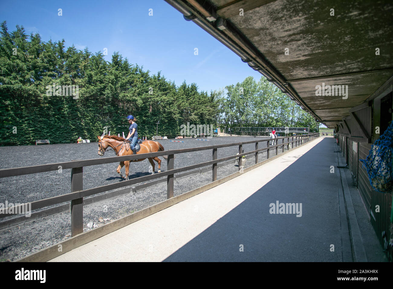 English stud and horse livery stables Stock Photo - Alamy