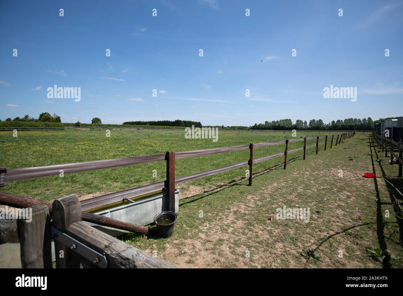 English stud and horse livery stables Stock Photo - Alamy