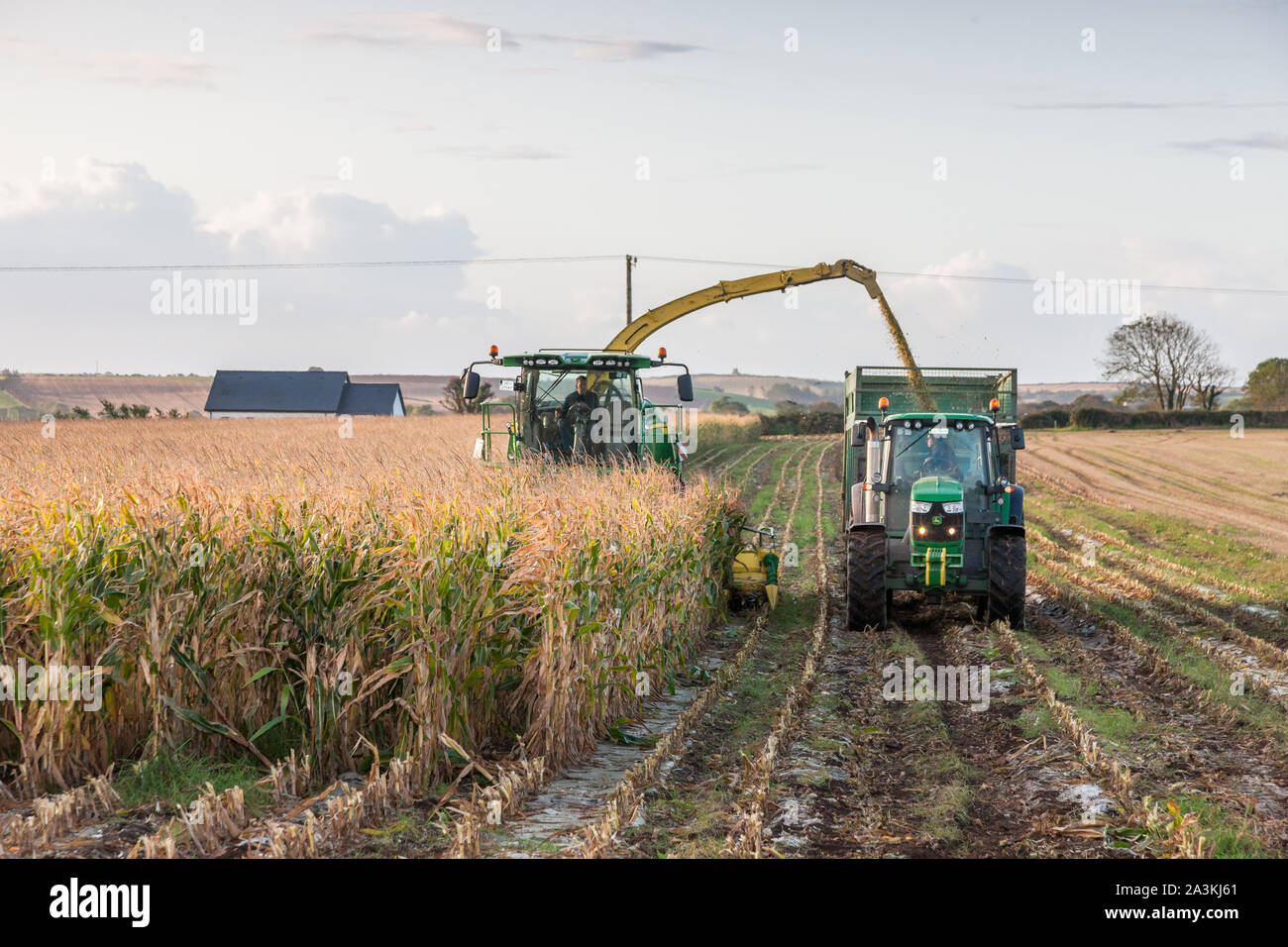 Lloyd forbes agri hi-res stock photography and images - Alamy