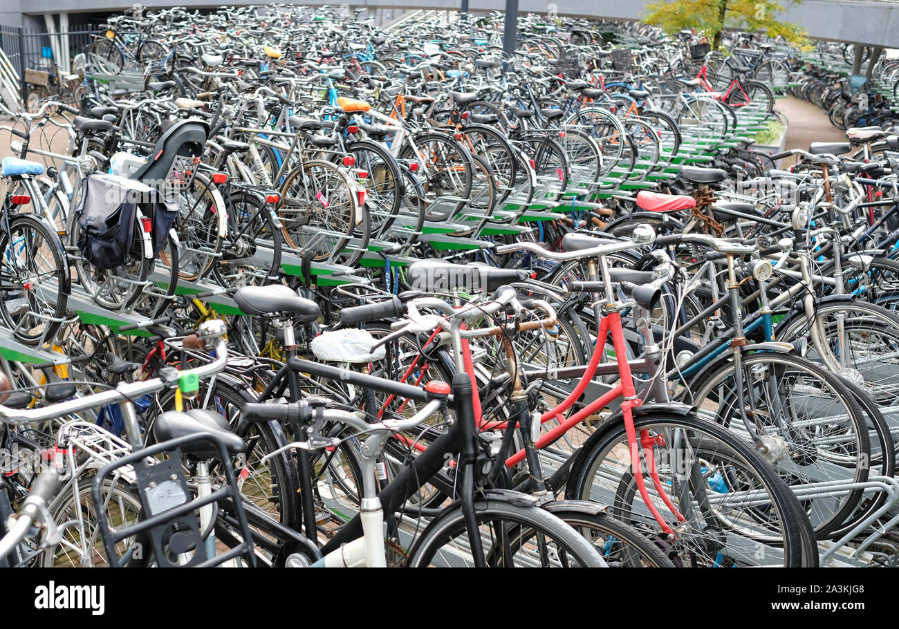 Bicycle parking space in Rotterdam, Netherlands Stock Photo - Alamy