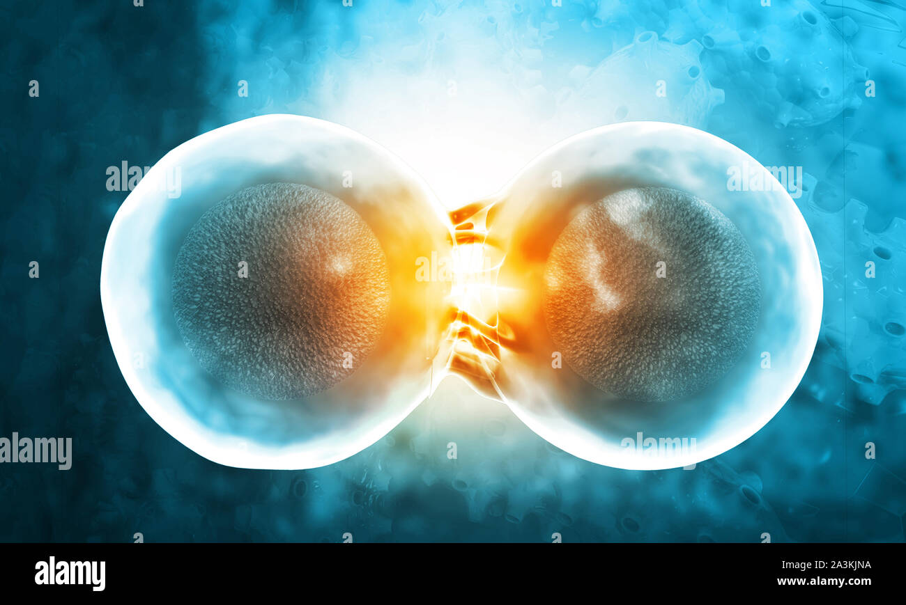 Cell division hi-res stock photography and images - Alamy