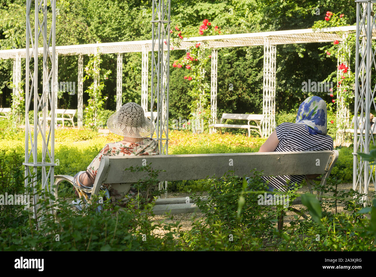 Margit Sziget Rose Garden - Two middle aged Hungarian women enjoying ...