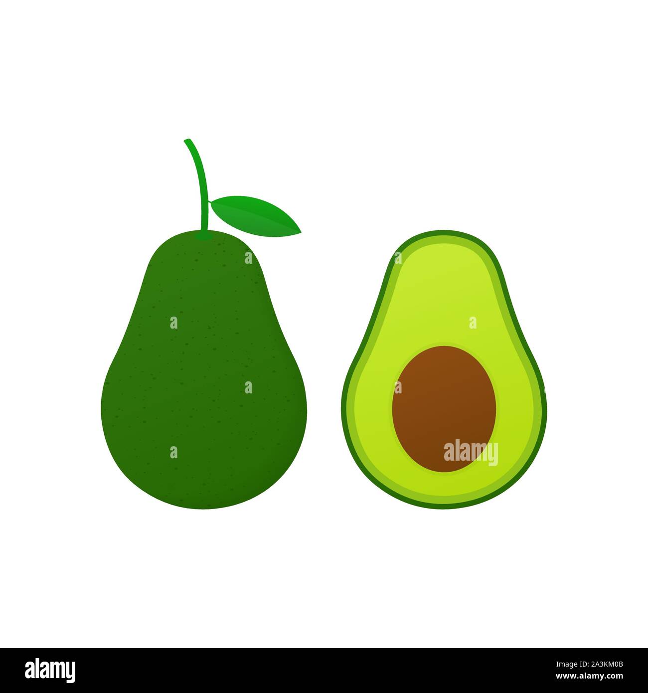 Fresh fruit avocado. Realistic vector avocados illustration. Whole and ...