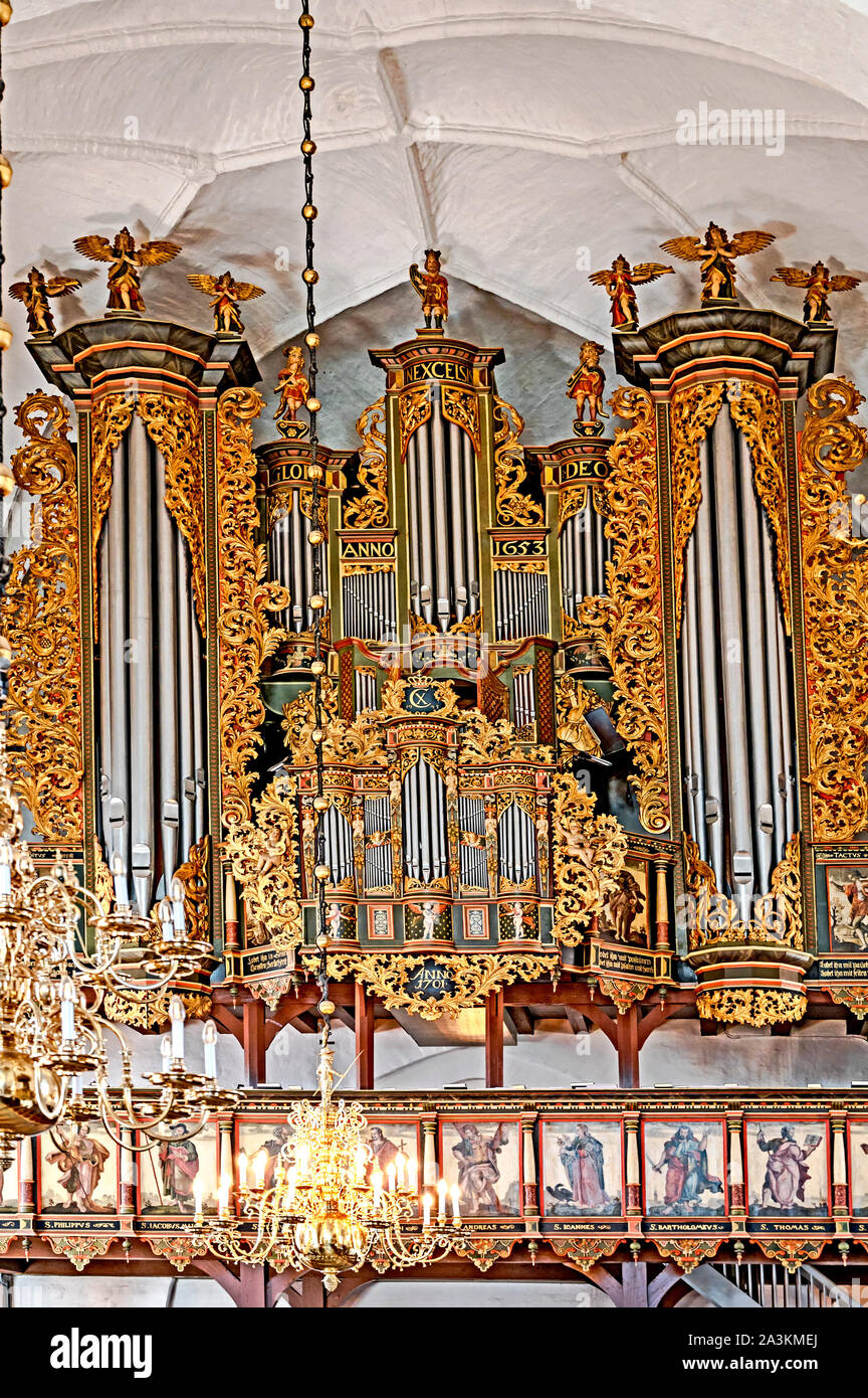Inneres organ hi-res stock photography and images - Alamy