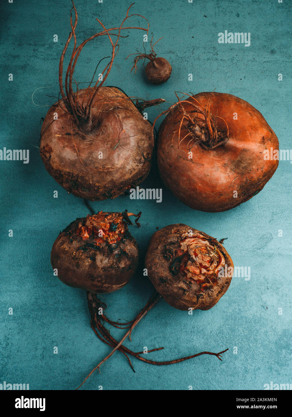 Organic farm. Fresh organic beet, beetroot. Grey background. Close up ...