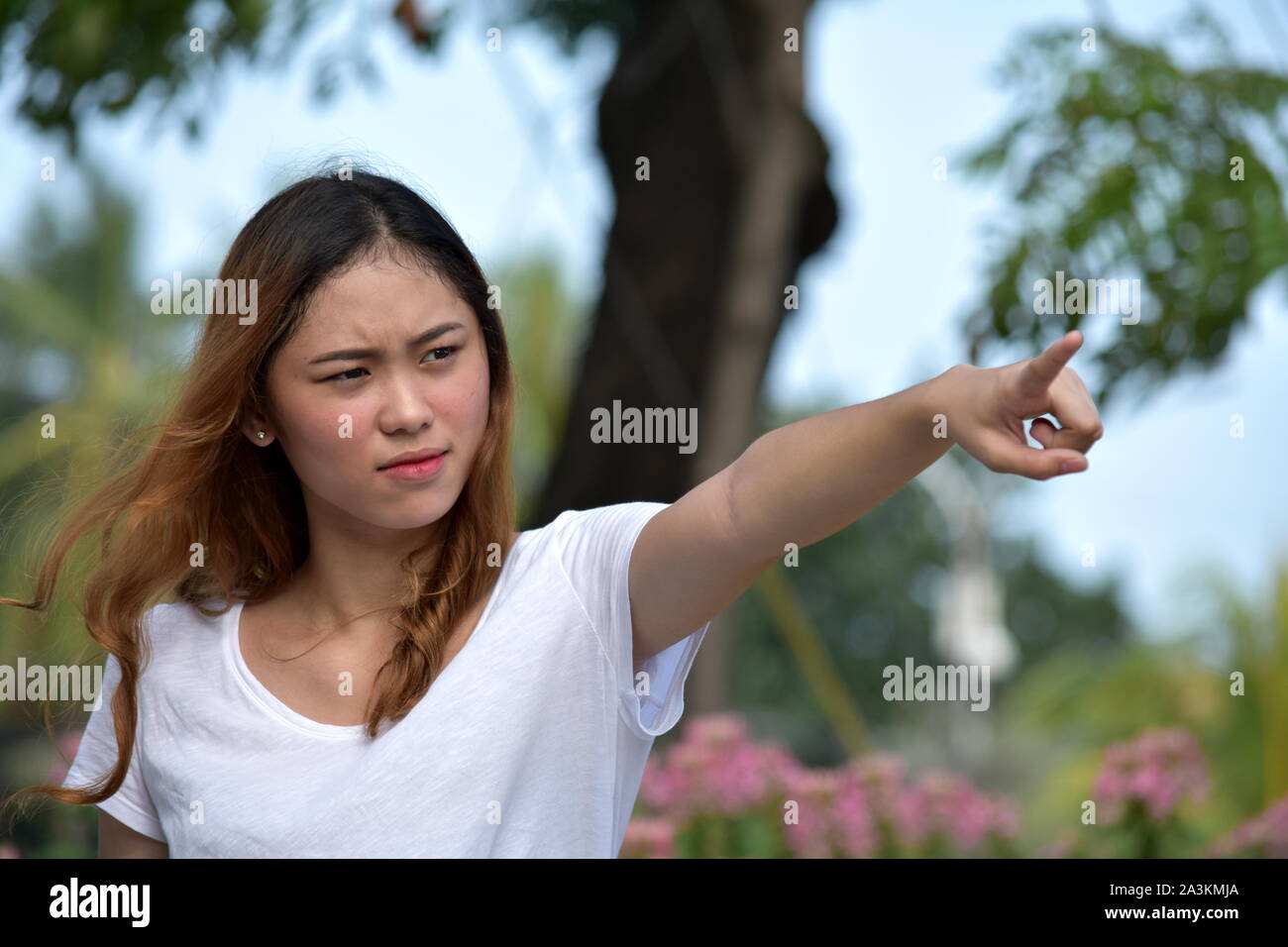An Adult Female Pointing Stock Photo - Alamy