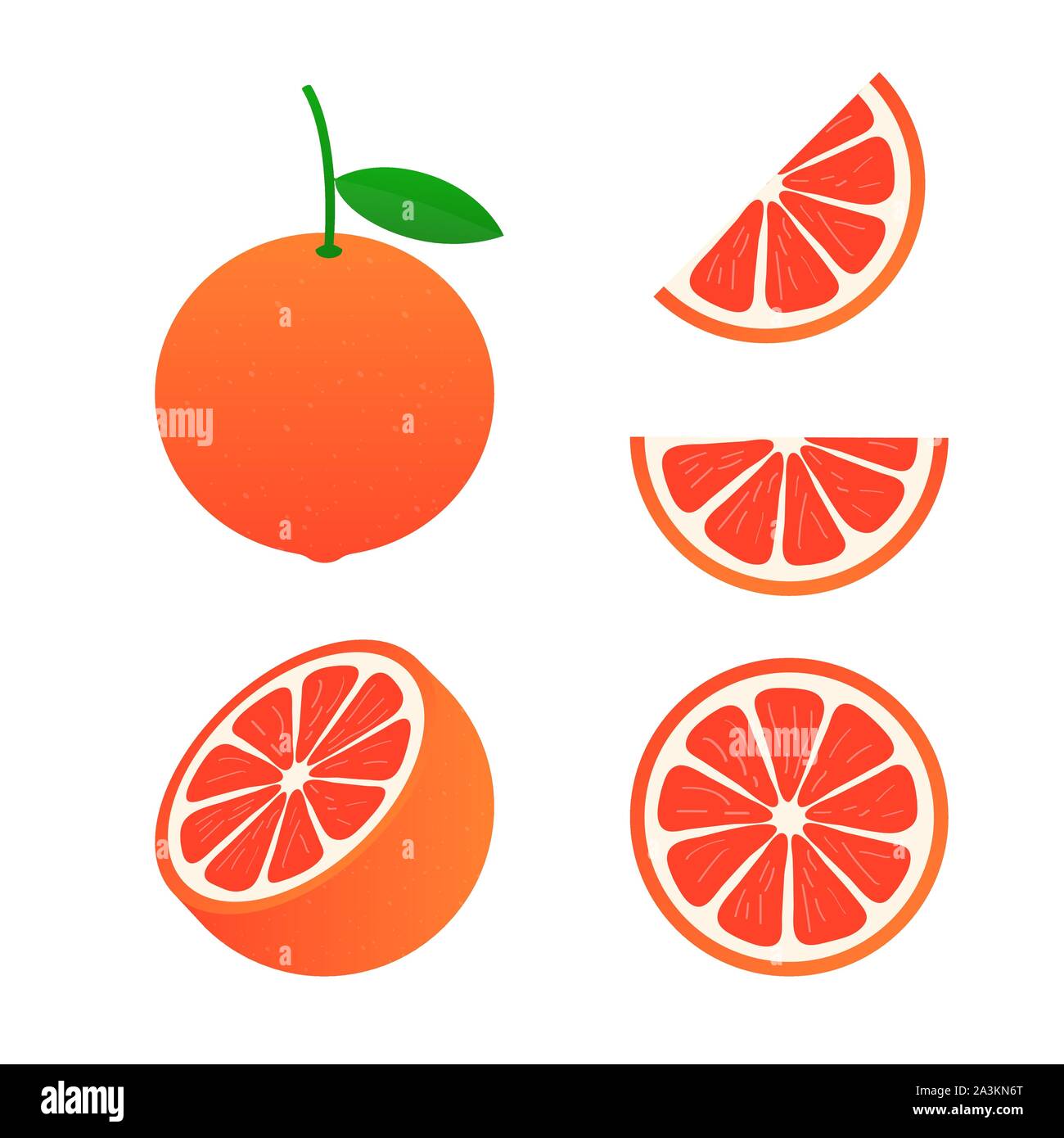 Grapefruit. A whole grapefruit and a cut. Vector stock illustration ...