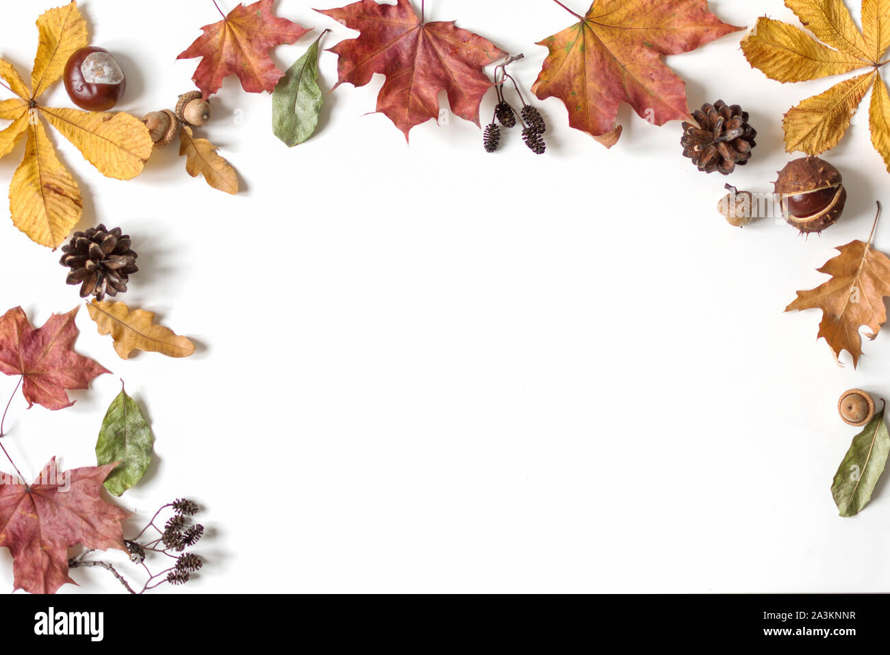 Autumn composition with colorful dry leaves on white background. Flat ...