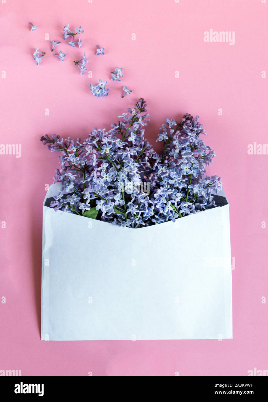 Envelope with lilac flowers on the pastel colorful background. Blank to ...