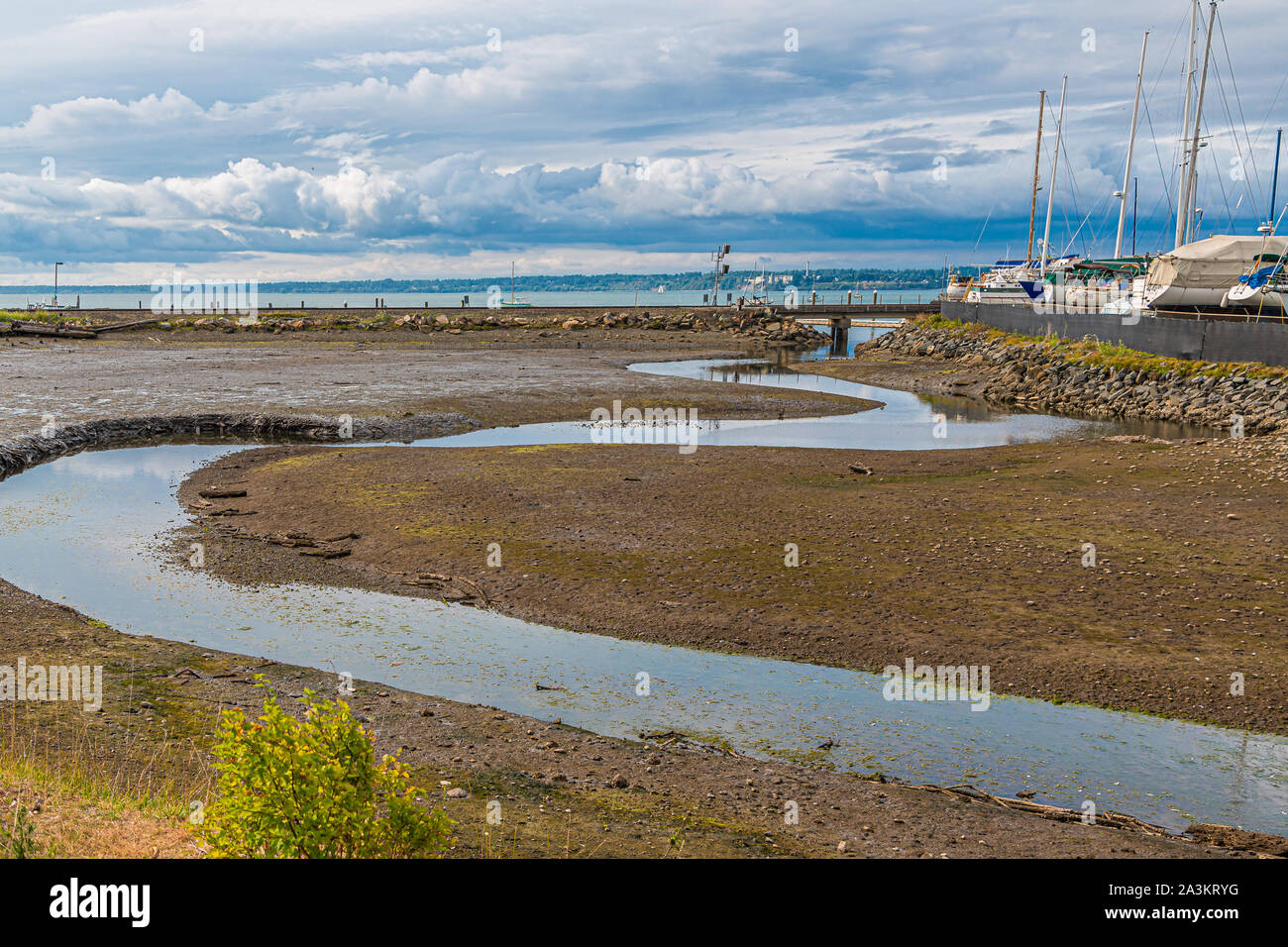Low Tide by Dry Dock in Bellingham Bay Stock Photo - Alamy