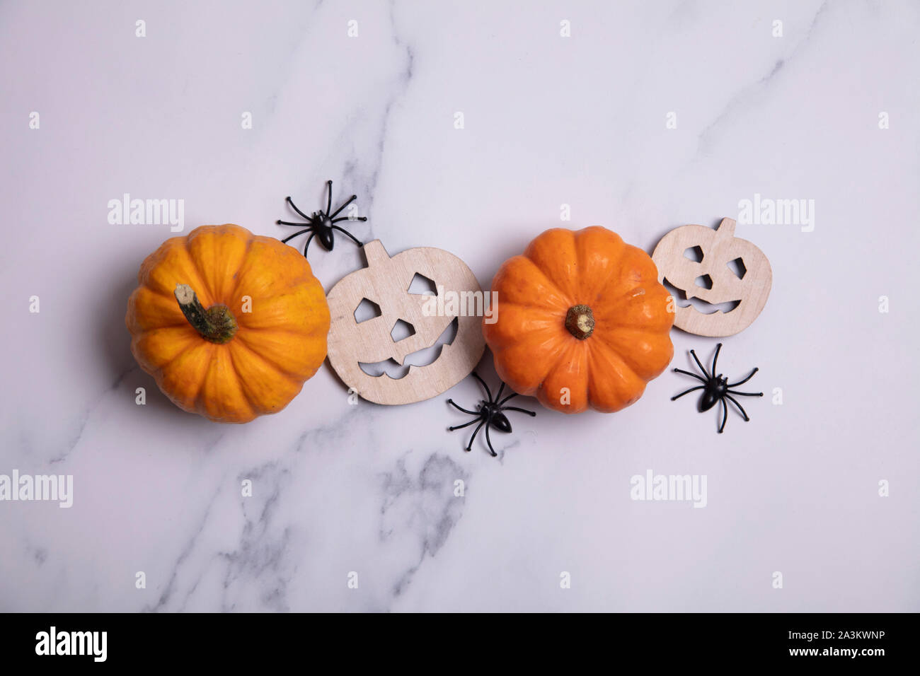halloween composition. Pumpkins and spiders on marble background. flat ...
