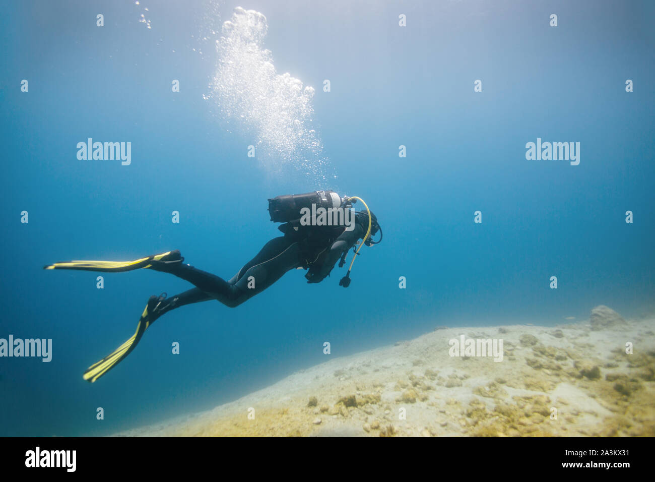 Underwater diving. Scuba diver underwater Stock Photo - Alamy