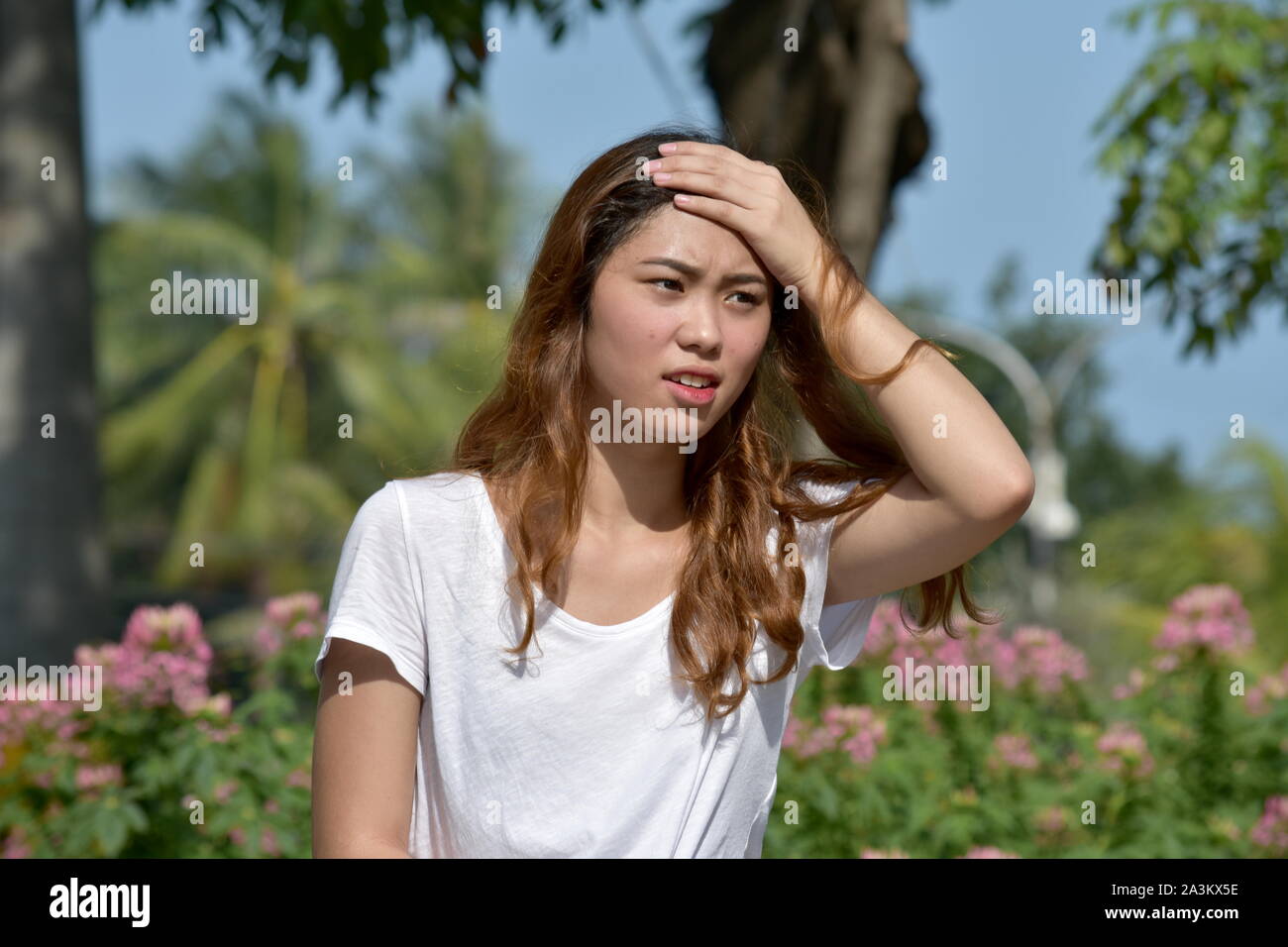 Forget forgotten forgot forgets forgetful hi-res stock photography and ...