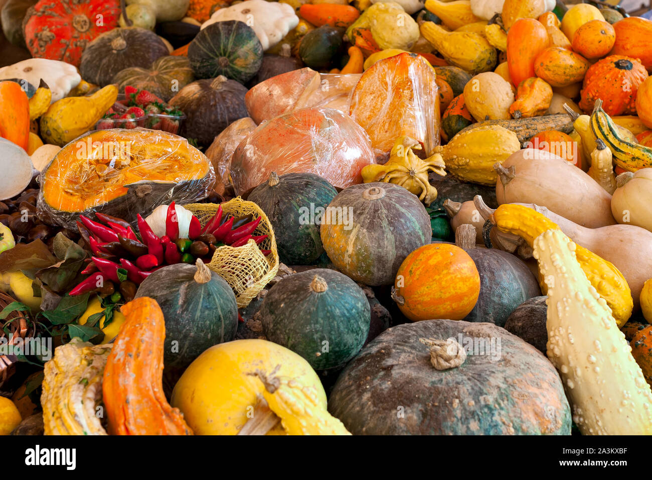 Pumpkin Types High Resolution Stock Photography and Images - Alamy