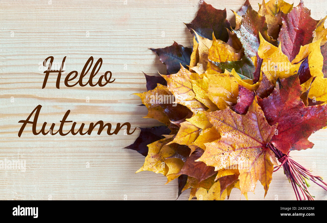 Hello Autumn writing with maple leaf autumn bouquet on wooden ...