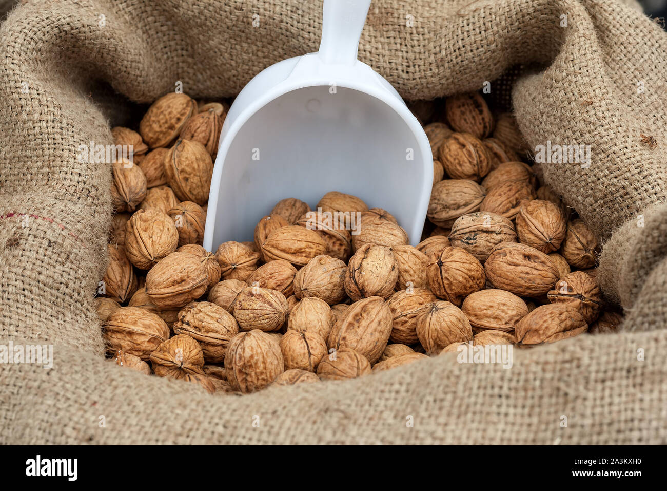 Walnuts in shell hi-res stock photography and images - Alamy