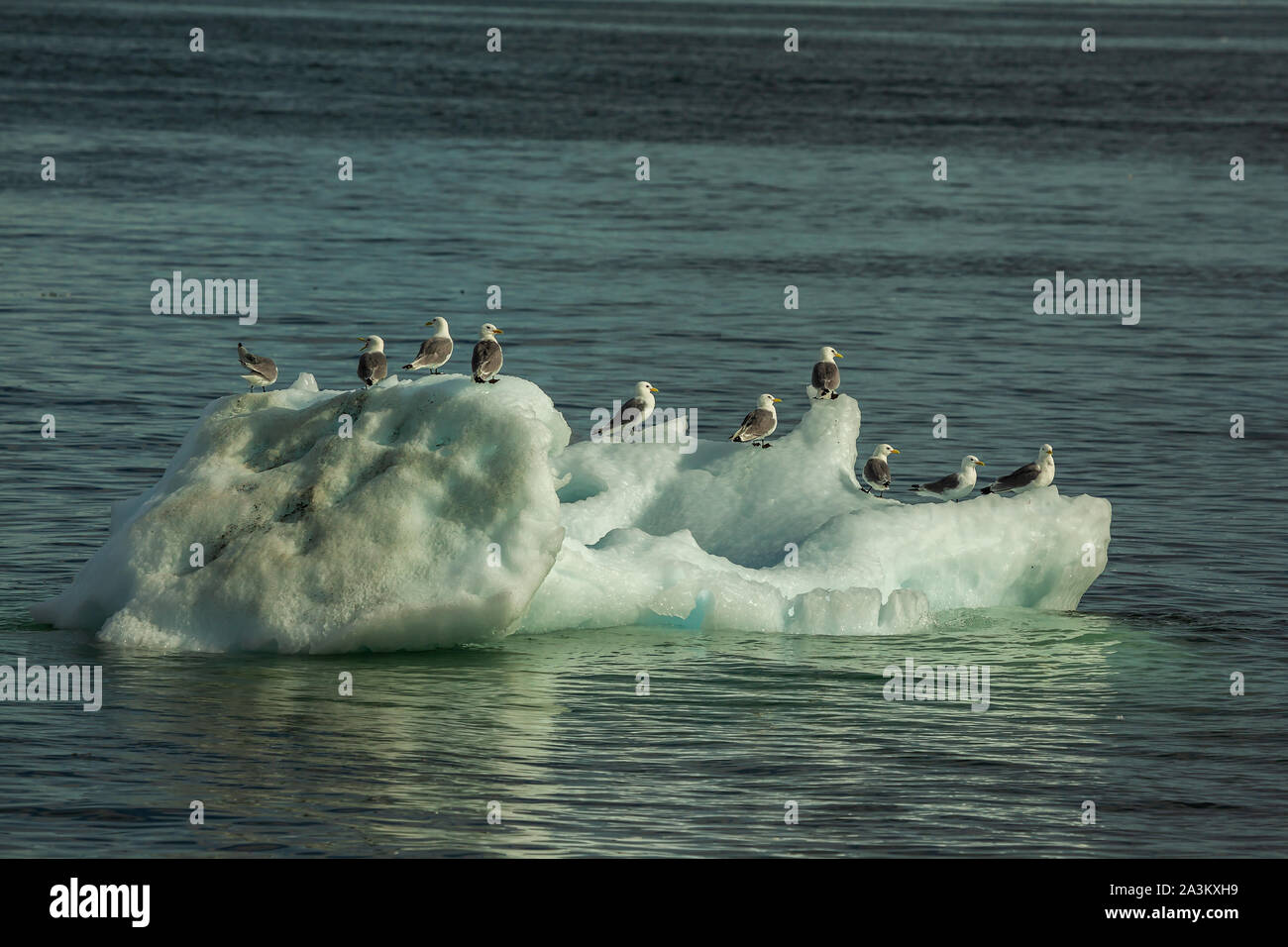Greenland ocean melting blue hi-res stock photography and images - Alamy