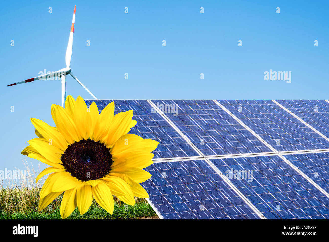 Wind turbine solar panel flower field hi-res stock photography and ...