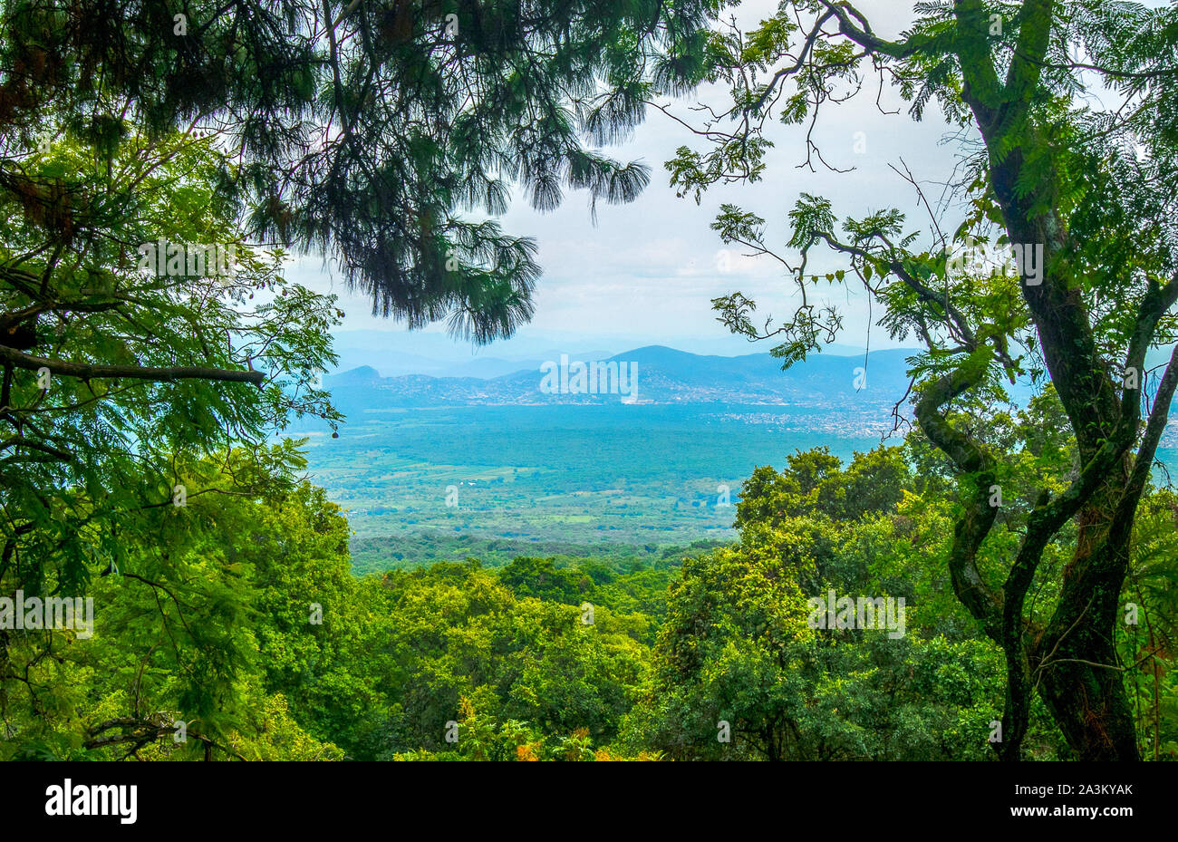 scenic landscape mexico blue sky green trees mountain artistic Stock ...