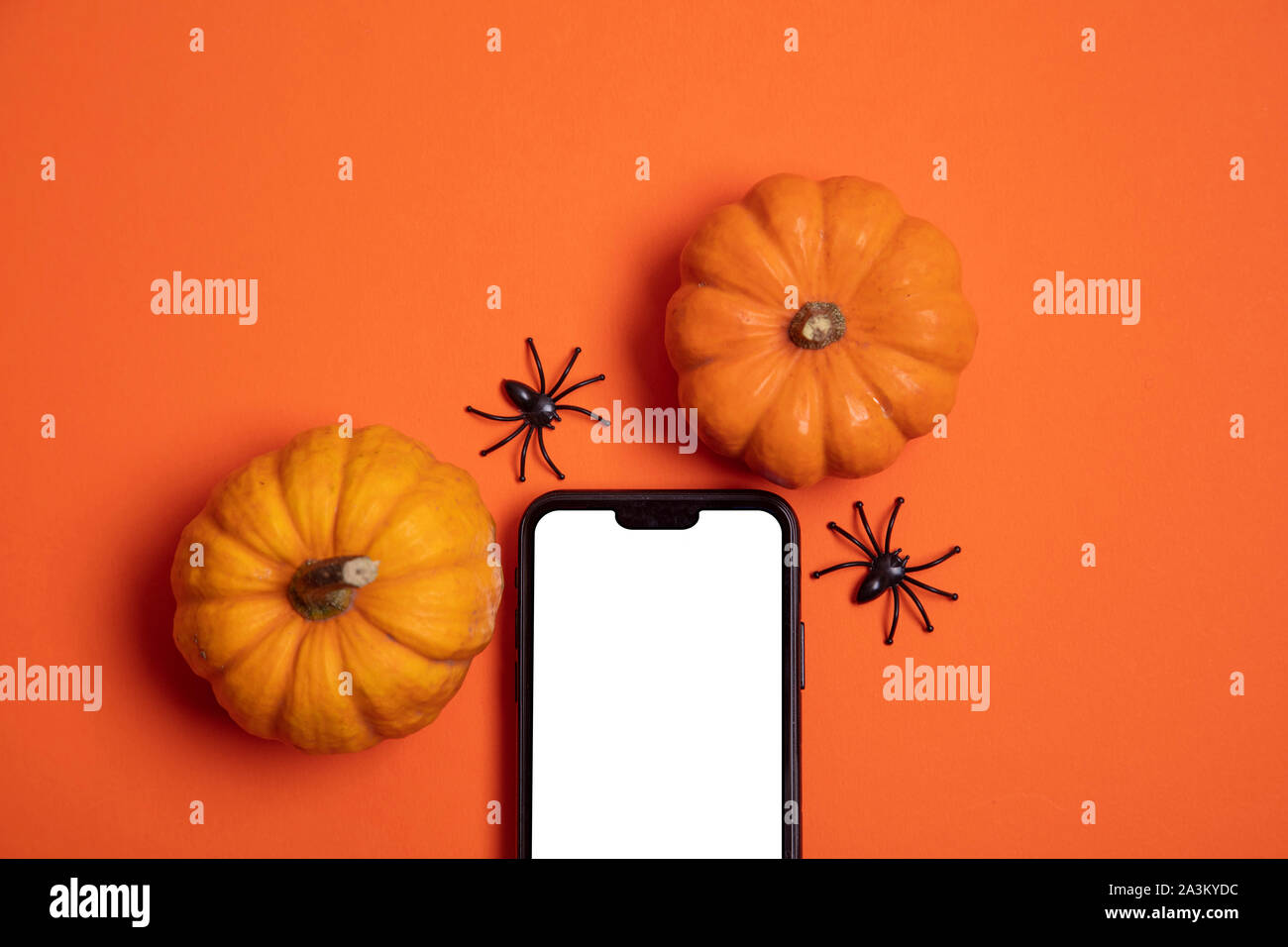 Blank white smartphone screen with pumpkins and spiders Stock Photo - Alamy
