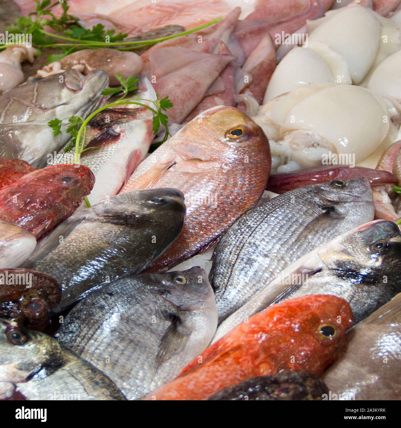 Mixed fish hi-res stock photography and images - Alamy
