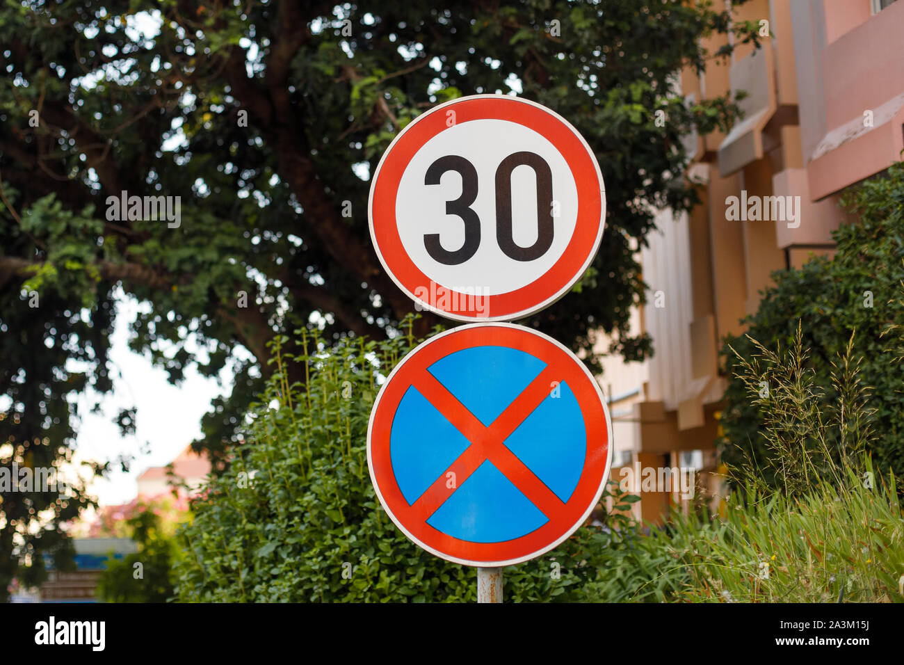 Road signs speed limit and no parking or stopping on green background ...