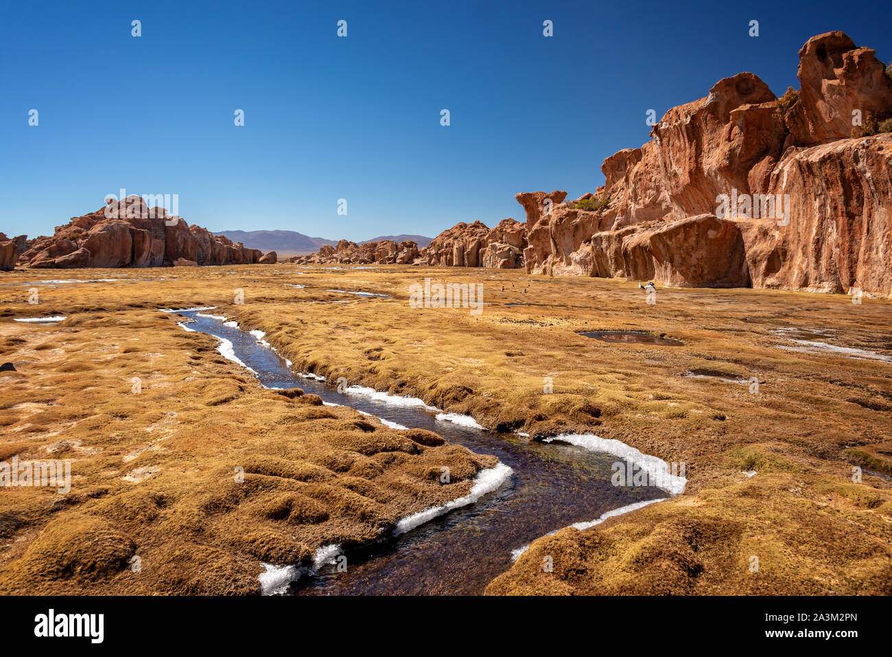 Valley of rocks in Bolivia Stock Photo - Alamy
