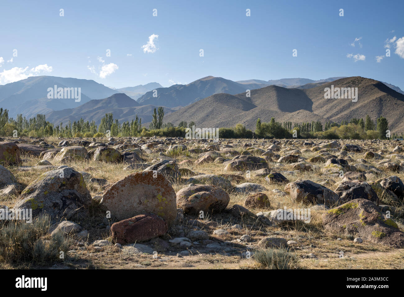 ancient pictograms or petroglyphs on rocks at cholpon ata kyrgyzstan ...