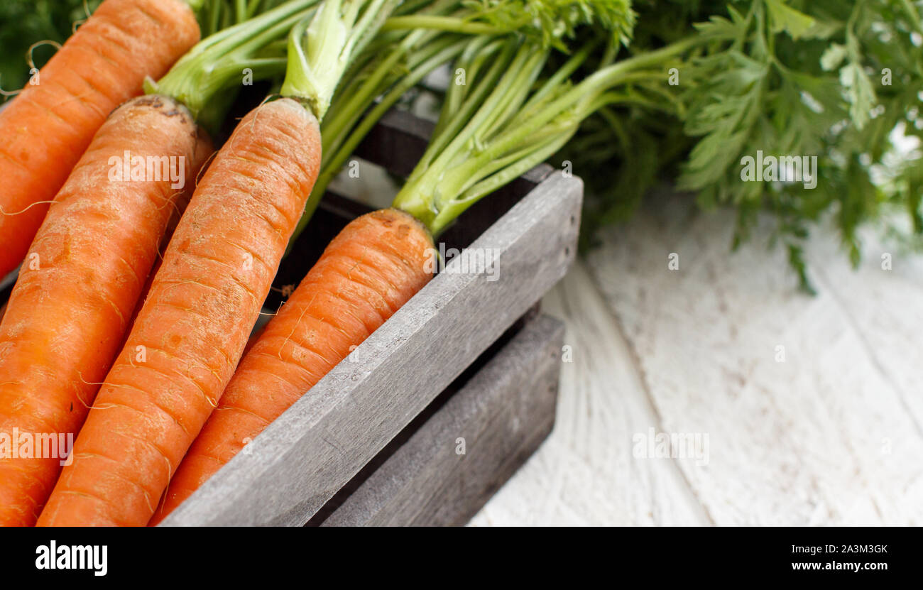 Carrots at a farmers market hi-res stock photography and images - Alamy