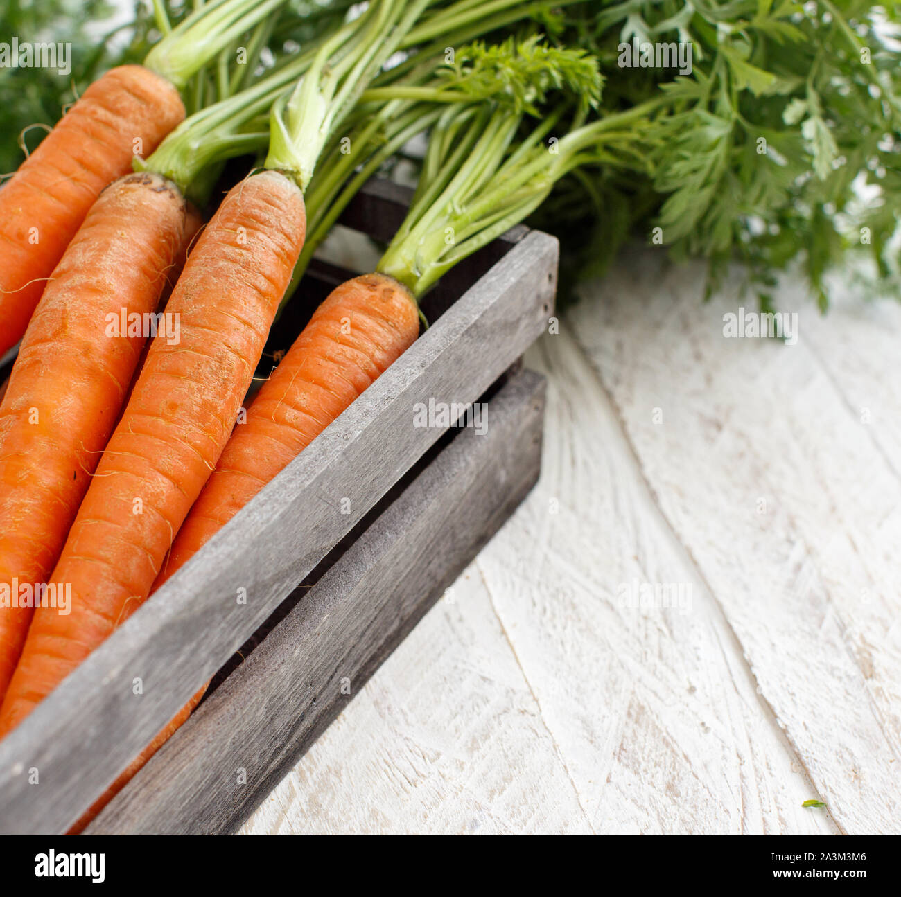 Carrots in a box hi-res stock photography and images - Alamy