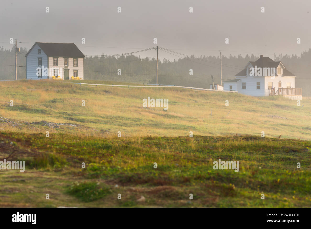 Puffin and elliston and newfoundland hi-res stock photography and ...