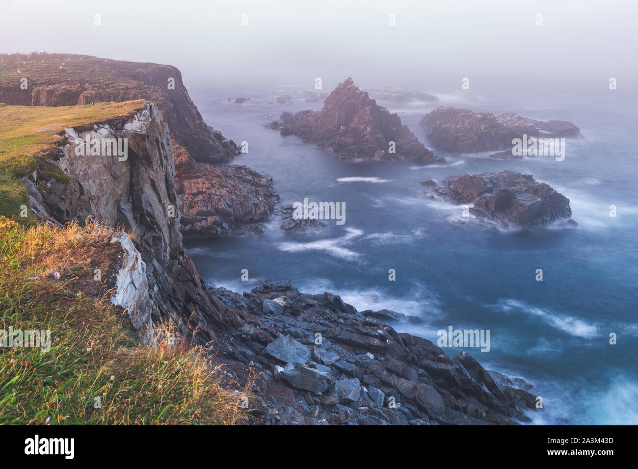 Cliffs of Cape St. Mary's Ecological Bird Sanctuary in Newfoundland ...