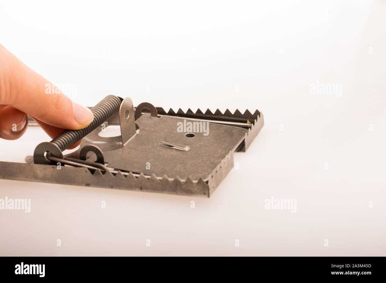 Hand pressing on a steel mouse trap in a white background on display ...