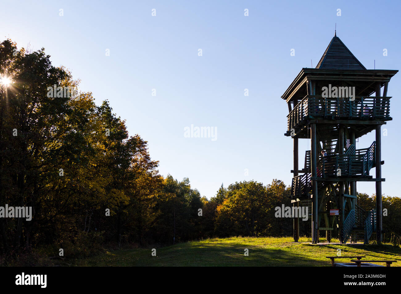 Lookout towers forest hi-res stock photography and images - Alamy