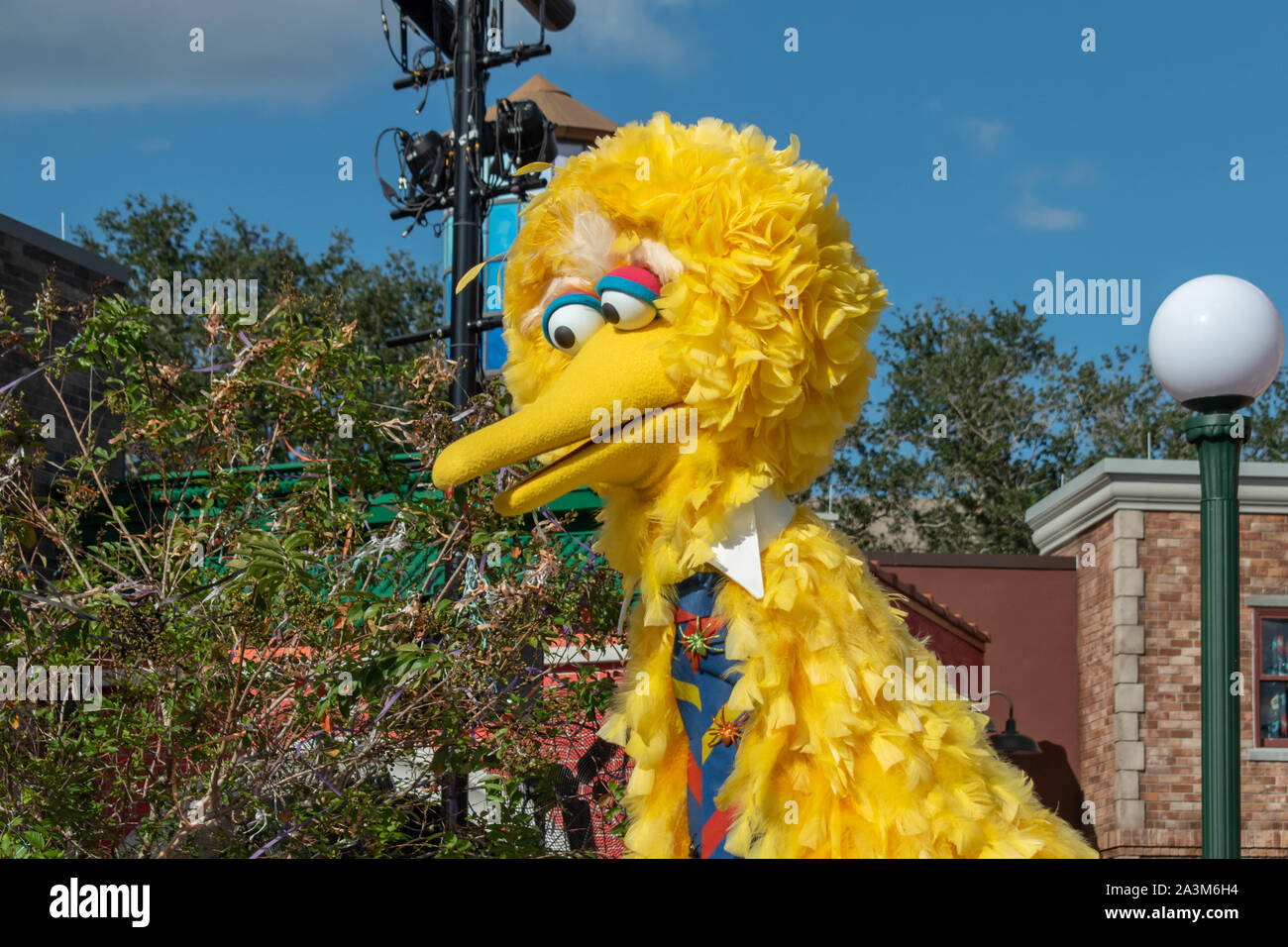 Big bird of sesame street hi-res stock photography and images - Alamy