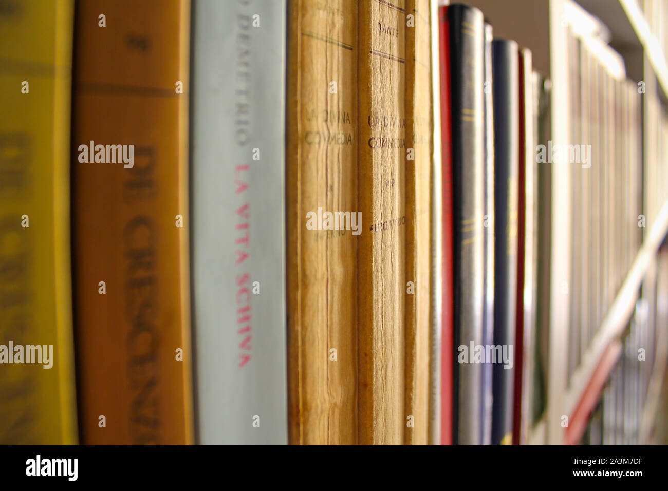 Rare book research hi-res stock photography and images - Alamy