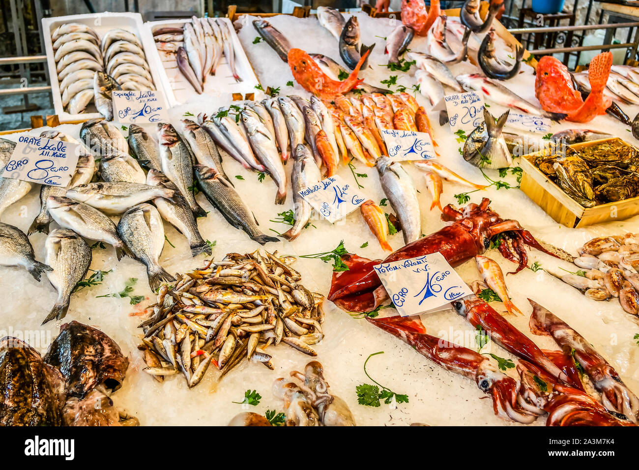Fresh Fish on the Market Stock Photo - Alamy