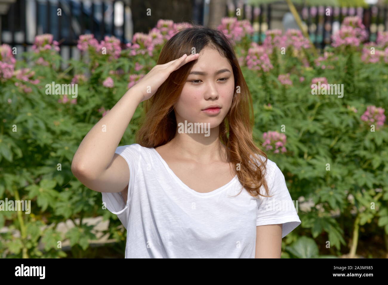 Saluting woman hi-res stock photography and images - Alamy