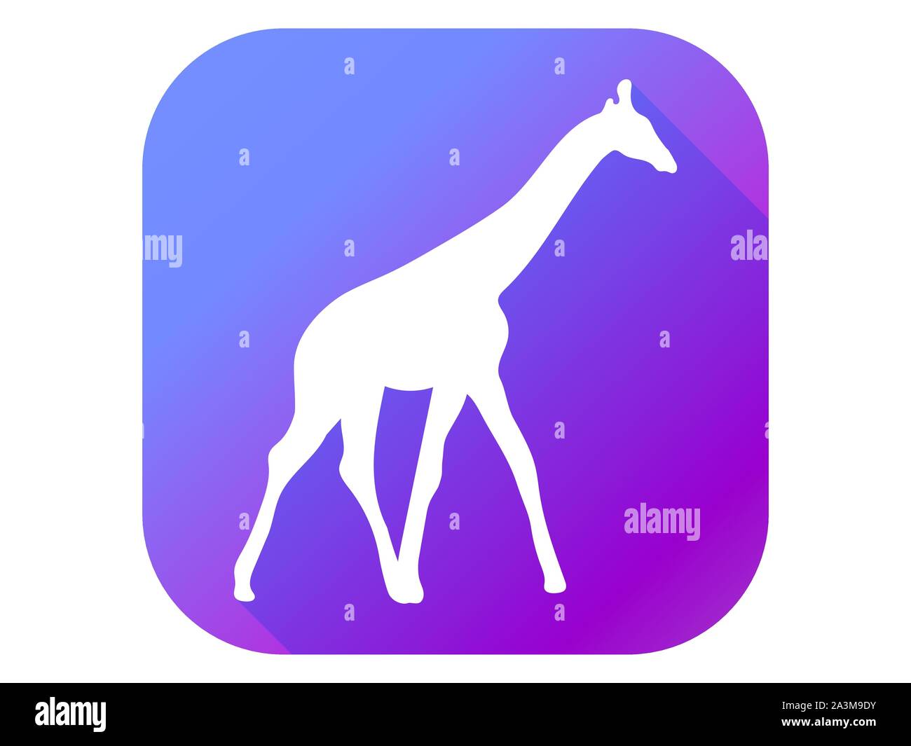 Giraffe flat icon with long shadow. Pictogram gradient color. Vector illustration Stock Vector ...
